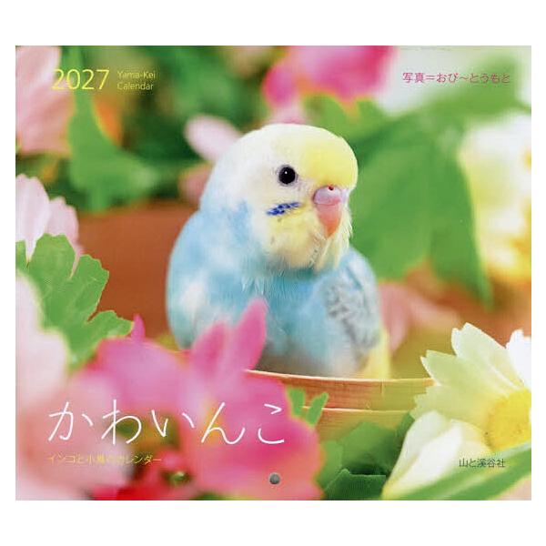 ※商品画像はイメージや仮デザインが含まれている場合があります。帯の有無など実際と異なる場合があります。出版社:山と溪谷社発売日:2026年09月キーワード:’２７かわいんこインコと小鳥のカレンダー ２０２７かわいんこいんことことりのかれんだ...