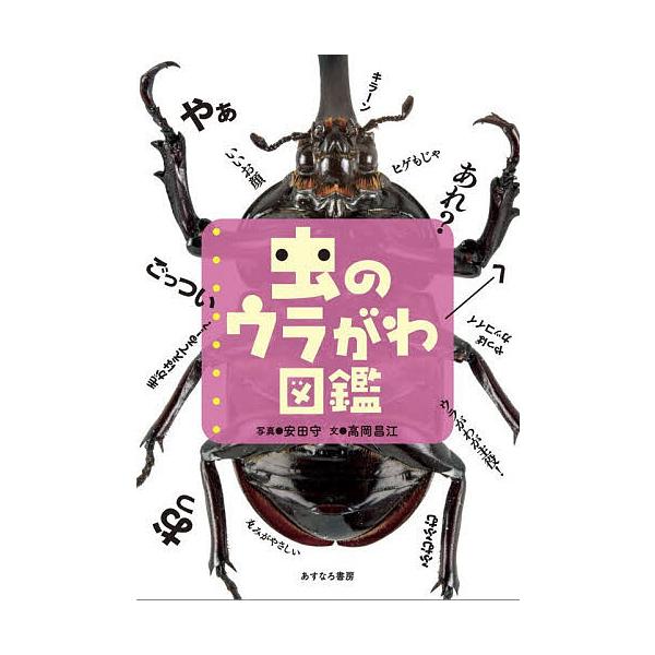 ※商品画像はイメージや仮デザインが含まれている場合があります。帯の有無など実際と異なる場合があります。写真:安田守　文:高岡昌江出版社:あすなろ書房発売日:2026年06月キーワード:虫のウラがわ図鑑ウラがわが主役！安田守高岡昌江 プレゼン...