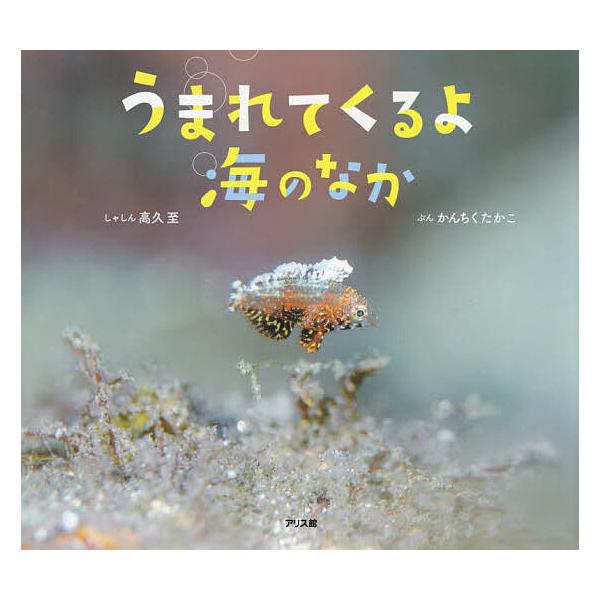 ぶん:高久至しゃしんかんちくたかこ出版社:アリス館発売日:2022年06月キーワード:うまれてくるよ海のなか高久至しゃしんかんちくたかこ えほん 絵本 プレゼント ギフト 誕生日 子供 クリスマス 子ども こども うまれてくるようみのなか ...