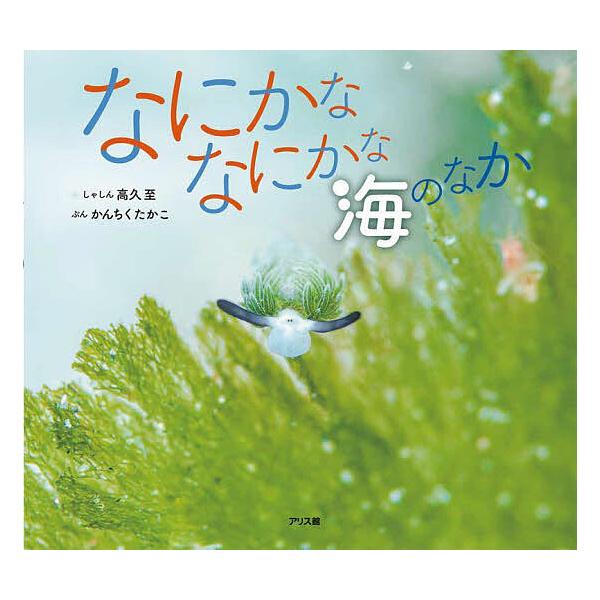 ※商品画像はイメージや仮デザインが含まれている場合があります。帯の有無など実際と異なる場合があります。ぶん:高久至しゃしんかんちくたかこ出版社:アリス館発売日:2025年06月キーワード:なにかななにかな海のなか高久至しゃしんかんちくたかこ...