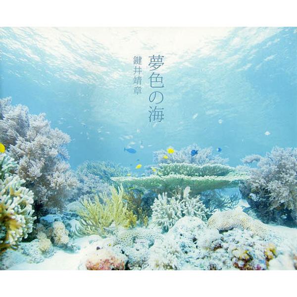 ※商品画像はイメージや仮デザインが含まれている場合があります。帯の有無など実際と異なる場合があります。著:鍵井靖章出版社:パイインターナショナル発売日:2013年05月キーワード:夢色の海鍵井靖章 ゆめいろのうみ ユメイロノウミ かぎい や...