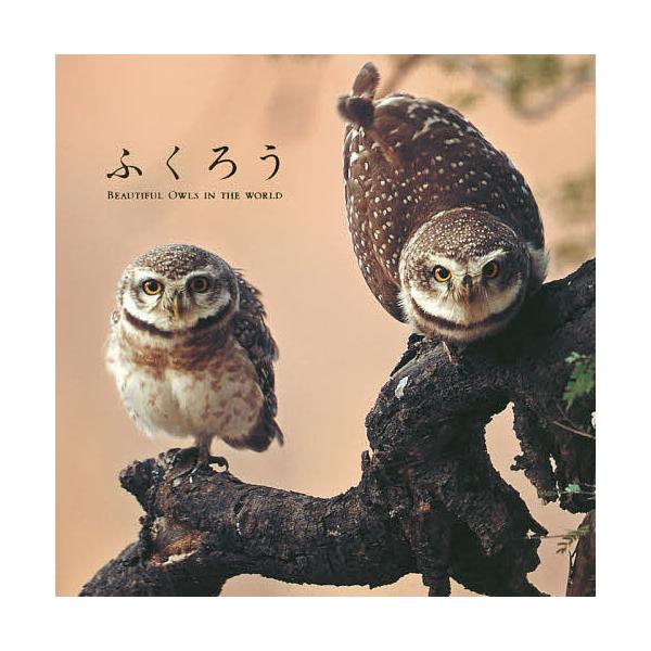※商品画像はイメージや仮デザインが含まれている場合があります。帯の有無など実際と異なる場合があります。出版社:パイインターナショナル発売日:2014年06月キーワード:ふくろうBEAUTIFULOWLSINTHEWORLD ふくろうびゆーて...