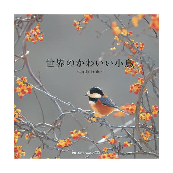 ※商品画像はイメージや仮デザインが含まれている場合があります。帯の有無など実際と異なる場合があります。監修:上田恵介出版社:パイインターナショナル発売日:2014年10月キーワード:世界のかわいい小鳥上田恵介 せかいのかわいいことり セカイ...