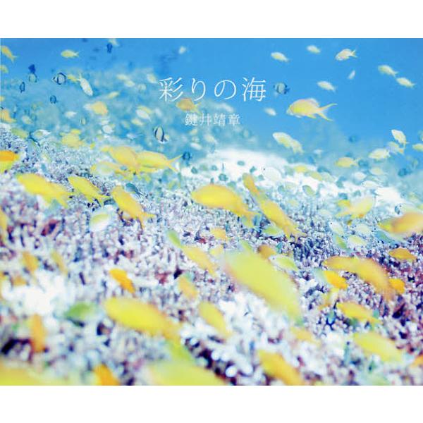 著:鍵井靖章出版社:パイインターナショナル発売日:2015年04月キーワード:彩りの海鍵井靖章 いろどりのうみ イロドリノウミ かぎい やすあき カギイ ヤスアキ