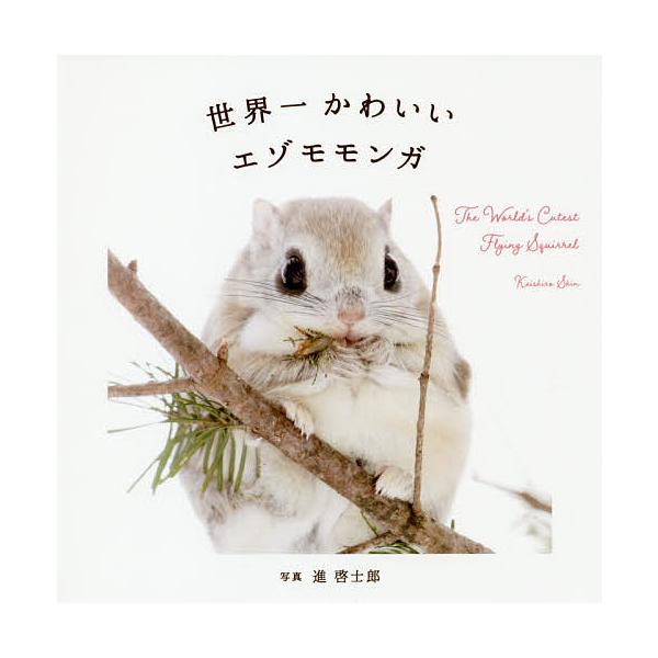 ※商品画像はイメージや仮デザインが含まれている場合があります。帯の有無など実際と異なる場合があります。写真:進啓士郎出版社:パイインターナショナル発売日:2019年10月キーワード:世界一かわいいエゾモモンガ進啓士郎 せかいいちかわいいえぞ...