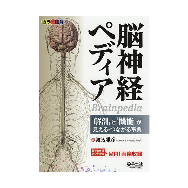 著:渡辺雅彦出版社:羊土社発売日:2017年08月キーワード:脳神経ペディアカラー図解「解剖」と「機能」が見える・つながる事典渡辺雅彦 のうしんけいぺでいあからーずかいかいぼうときのう ノウシンケイペデイアカラーズカイカイボウトキノウ わた...