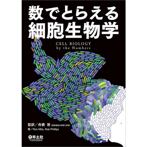 ※商品画像はイメージや仮デザインが含まれている場合があります。帯の有無など実際と異なる場合があります。著:RonMilo　著:RobPhillips　監訳:舟橋啓出版社:羊土社発売日:2020年04月キーワード:数でとらえる細胞生物学Ron...