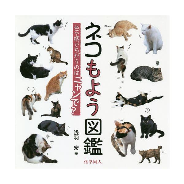 ※商品画像はイメージや仮デザインが含まれている場合があります。帯の有無など実際と異なる場合があります。著:浅羽宏出版社:化学同人発売日:2019年08月キーワード:ネコもよう図鑑色や柄がちがうのはニャンで？浅羽宏 ねこもようずかんいろやがら...