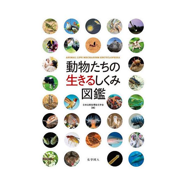 ※商品画像はイメージや仮デザインが含まれている場合があります。帯の有無など実際と異なる場合があります。編:日本比較生理生化学会出版社:化学同人発売日:2026年08月キーワード:動物たちの生きるしくみ図鑑日本比較生理生化学会 どうぶつたちの...