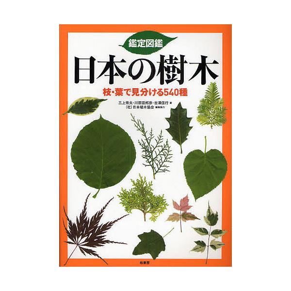 ※商品画像はイメージや仮デザインが含まれている場合があります。帯の有無など実際と異なる場合があります。著:三上常夫出版社:柏書房発売日:2009年05月キーワード:鑑定図鑑日本の樹木枝・葉で見分ける５４０種三上常夫 かんていずかんにほんのじ...