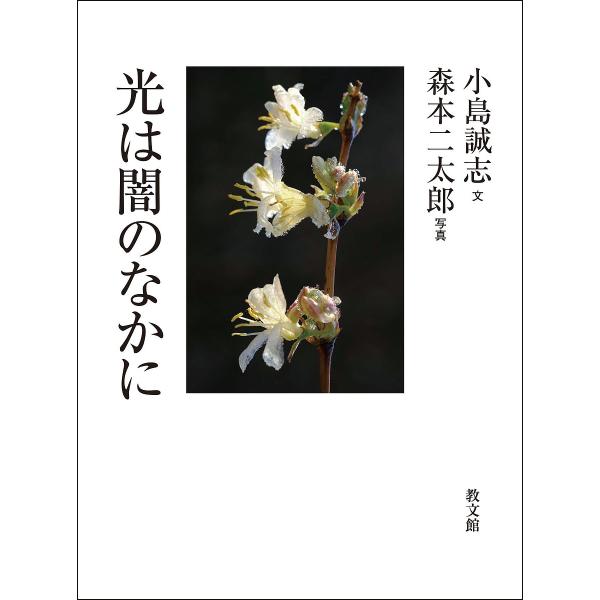 ※商品画像はイメージや仮デザインが含まれている場合があります。帯の有無など実際と異なる場合があります。文:小島誠志　写真:森本二太郎出版社:教文館発売日:2022年03月キーワード:光は闇のなかに小島誠志森本二太郎 ひかりわやみのなかに ヒ...