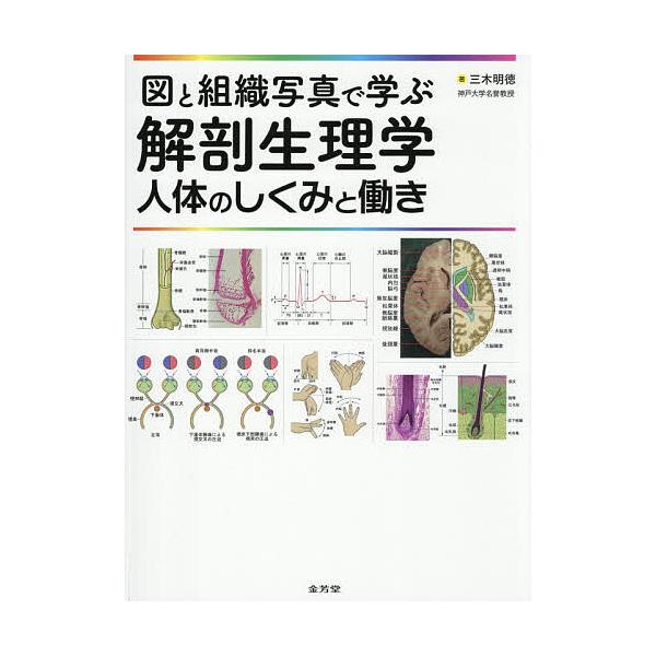 ※商品画像はイメージや仮デザインが含まれている場合があります。帯の有無など実際と異なる場合があります。著:三木明徳出版社:金芳堂発売日:2026年09月キーワード:図と組織写真で学ぶ解剖生理学人体のしくみと働き三木明徳 ずとそしきしやしんで...