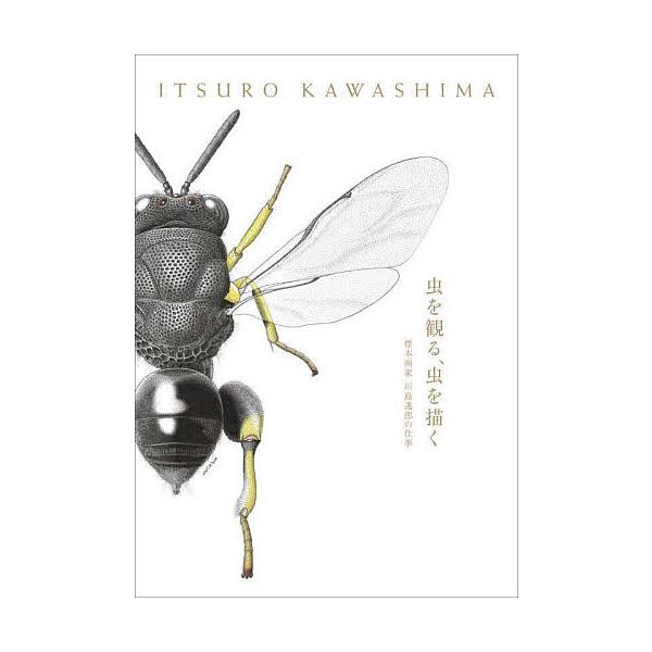 著:川島逸郎出版社:グラフィック社発売日:2022年01月キーワード:虫を観る、虫を描く標本画家川島逸郎の仕事川島逸郎 むしおみるむしおえがくひようほん ムシオミルムシオエガクヒヨウホン かわしま いつろう カワシマ イツロウ