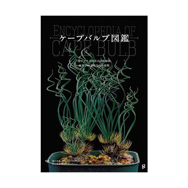 ※商品画像はイメージや仮デザインが含まれている場合があります。帯の有無など実際と異なる場合があります。著:藤川史雄　著:松山美紗出版社:グラフィック社発売日:2024年08月キーワード:ケープバルブ図鑑南アフリカ原産の球根植物厳選２３０個体...