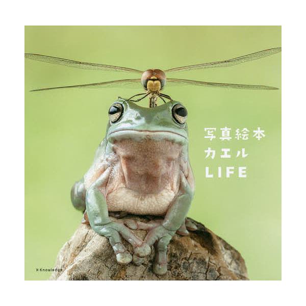 ※商品画像はイメージや仮デザインが含まれている場合があります。帯の有無など実際と異なる場合があります。出版社:エクスナレッジ発売日:2017年07月キーワード:カエルLIFE写真絵本 かえるらいふかえる／ＬＩＦＥしやしんえほん カエルライフ...