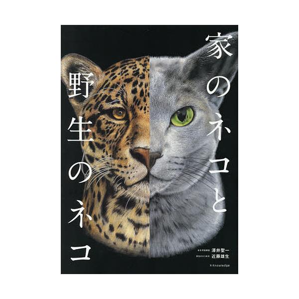 ※商品画像はイメージや仮デザインが含まれている場合があります。帯の有無など実際と異なる場合があります。本文:澤井聖一出版社:エクスナレッジ発売日:2019年07月キーワード:家のネコと野生のネコ澤井聖一 いえのねことやせいのねこ イエノネコ...