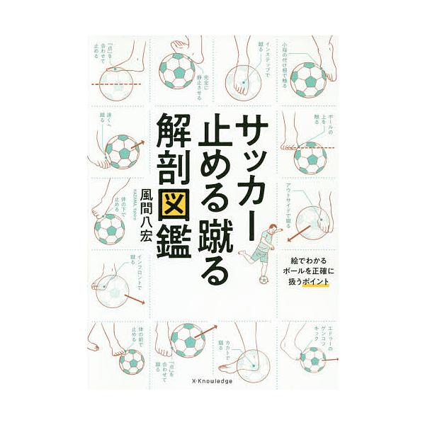 ※商品画像はイメージや仮デザインが含まれている場合があります。帯の有無など実際と異なる場合があります。著:風間八宏出版社:エクスナレッジ発売日:2020年12月キーワード:サッカー止める蹴る解剖図鑑風間八宏 さつかーとめるけるかいぼうずかん...