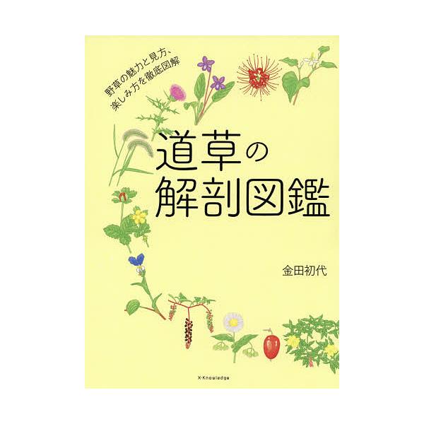 ※商品画像はイメージや仮デザインが含まれている場合があります。帯の有無など実際と異なる場合があります。著:金田初代出版社:エクスナレッジ発売日:2021年03月キーワード:道草の解剖図鑑金田初代 みちくさのかいぼうずかん ミチクサノカイボウ...