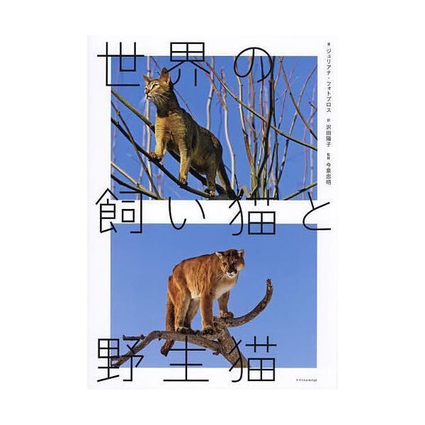 ※商品画像はイメージや仮デザインが含まれている場合があります。帯の有無など実際と異なる場合があります。著:ジュリアナ・フォトプロス　訳:沢田陽子　監修:今泉忠明出版社:エクスナレッジ発売日:2024年02月キーワード:世界の飼い猫と野生猫ジ...