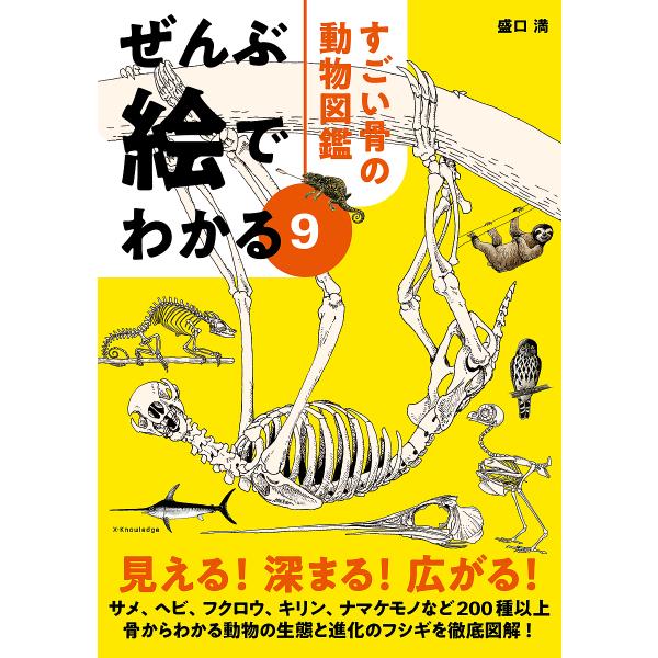 ※商品画像はイメージや仮デザインが含まれている場合があります。帯の有無など実際と異なる場合があります。著:盛口満出版社:エクスナレッジ発売日:2024年12月シリーズ名等:ぜんぶ絵でわかる ９キーワード:すごい骨の動物図鑑盛口満 すごいほね...