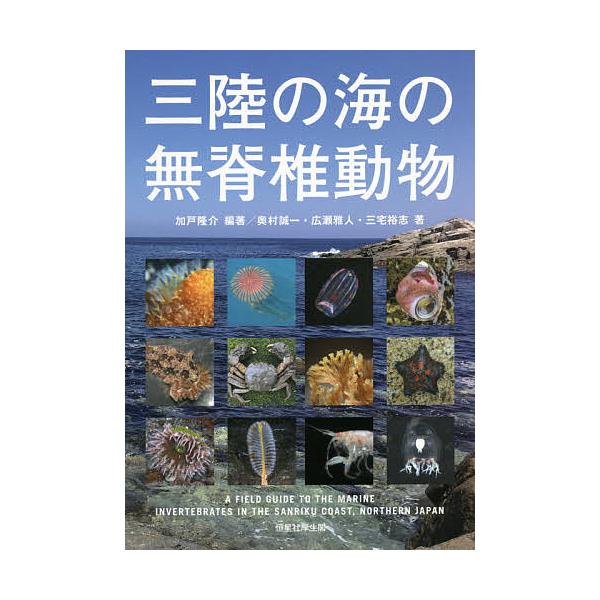 ※商品画像はイメージや仮デザインが含まれている場合があります。帯の有無など実際と異なる場合があります。編著:加戸隆介　著:奥村誠一　著:広瀬雅人出版社:恒星社厚生閣発売日:2021年04月キーワード:三陸の海の無脊椎動物加戸隆介奥村誠一広瀬...