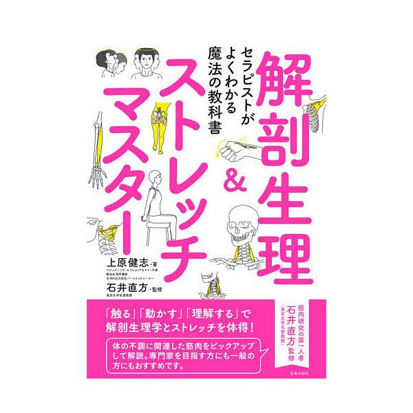 ※商品画像はイメージや仮デザインが含まれている場合があります。帯の有無など実際と異なる場合があります。著:上原健志　監修:石井直方出版社:笠倉出版社発売日:2020年08月キーワード:解剖生理＆ストレッチマスターセラピストがよくわかる魔法の...