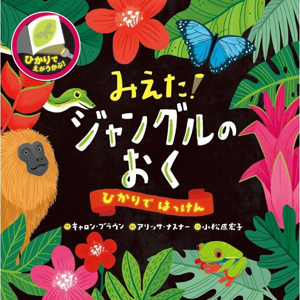 ※商品画像はイメージや仮デザインが含まれている場合があります。帯の有無など実際と異なる場合があります。作:キャロン・ブラウン　絵:アリッサ・ナスナー　訳:小松原宏子出版社:くもん出版発売日:2018年03月シリーズ名等:ひかりではっけんキー...