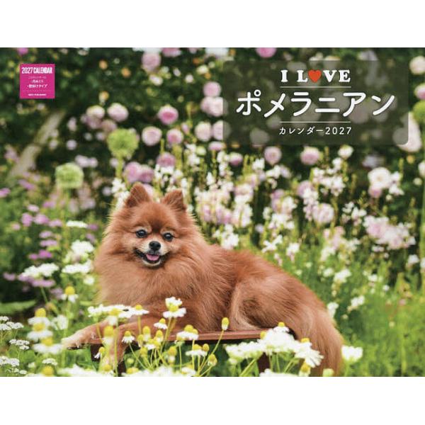 ※商品画像はイメージや仮デザインが含まれている場合があります。帯の有無など実際と異なる場合があります。出版社:ネコ・パブリッシング発売日:2026年10月キーワード:’２７ILOVEポメラニアンカレンダー ２０２７あいらぶぽめらにあんかれん...