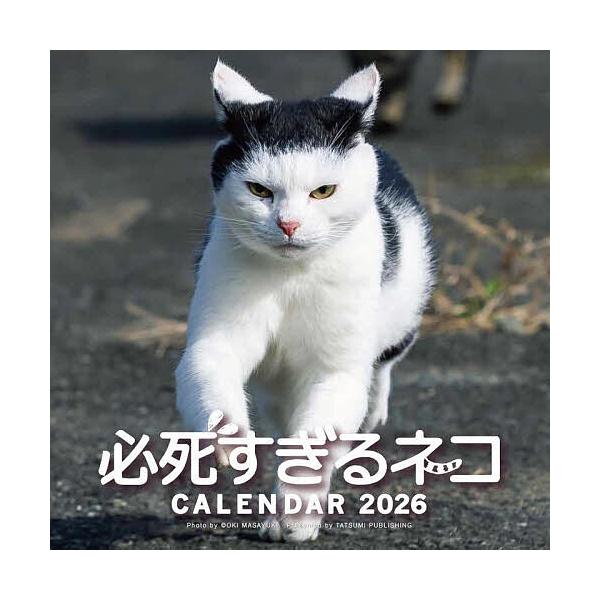 ※商品画像はイメージや仮デザインが含まれている場合があります。帯の有無など実際と異なる場合があります。出版社:辰巳出版発売日:2026年01月キーワード:２０２６必死すぎるネコカレンダー ２０２６ひつしすぎるねこかれんだー ２０２６ヒツシス...