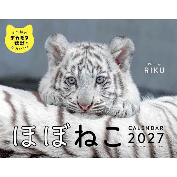 ※商品画像はイメージや仮デザインが含まれている場合があります。帯の有無など実際と異なる場合があります。出版社:辰巳出版発売日:2027年01月キーワード:’２７ほぼねこカレンダー ２０２７ほぼねこかれんだー ２０２７ホボネコカレンダー りく リク