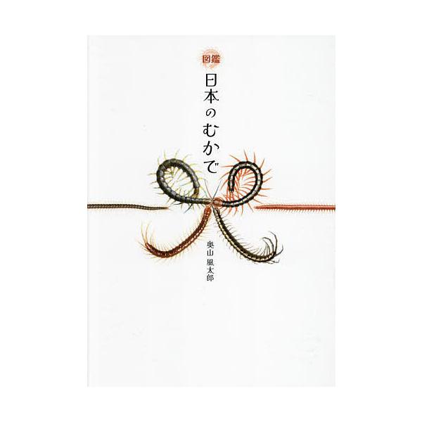 ※商品画像はイメージや仮デザインが含まれている場合があります。帯の有無など実際と異なる場合があります。著:奥山風太郎出版社:太田出版発売日:2023年08月キーワード:図鑑日本のむかで奥山風太郎 ずかんにほんのむかで ズカンニホンノムカデ ...