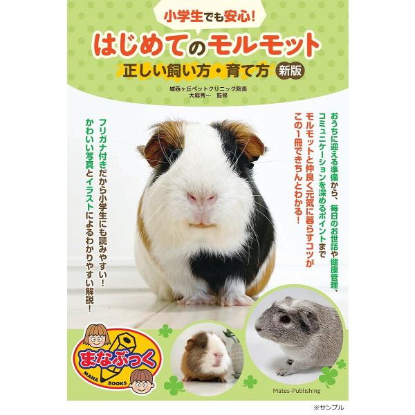 監修:大庭秀一出版社:メイツユニバーサルコンテンツ発売日:2024年03月シリーズ名等:まなぶっくキーワード:小学生でも安心！はじめてのモルモット正しい飼い方・育て方大庭秀一 ペット しようがくせいでもあんしんはじめてのもるもつとただ シヨ...