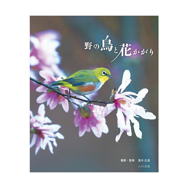 ※商品画像はイメージや仮デザインが含まれている場合があります。帯の有無など実際と異なる場合があります。撮影:真木広造出版社:メイツユニバーサルコンテンツ発売日:2025年11月キーワード:野の鳥と花かがり真木広造 の ノ まき ひろぞう マ...