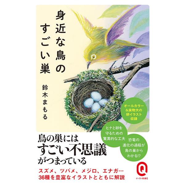 ※商品画像はイメージや仮デザインが含まれている場合があります。帯の有無など実際と異なる場合があります。著:鈴木まもる出版社:イースト・プレス発売日:2023年05月シリーズ名等:イースト新書Q Q０９０キーワード:身近な鳥のすごい巣鈴木まも...