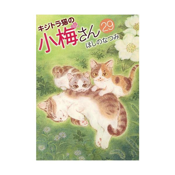 ※商品画像はイメージや仮デザインが含まれている場合があります。帯の有無など実際と異なる場合があります。著:ほしのなつみ出版社:少年画報社発売日:2026年08月シリーズ名等:ねこぱんちコミックス巻数:29巻キーワード:キジトラ猫の小梅さん２...