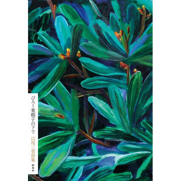 ※商品画像はイメージや仮デザインが含まれている場合があります。帯の有無など実際と異なる場合があります。著:山尾三省出版社:野草社発売日:2020年02月キーワード:びろう葉帽子の下で山尾三省詩集山尾三省 びろうはぼうしのしたでやまおさんせい...