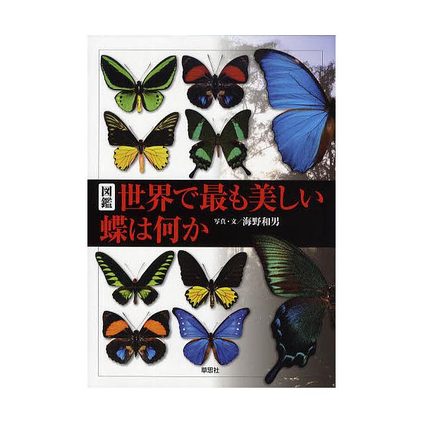 ※商品画像はイメージや仮デザインが含まれている場合があります。帯の有無など実際と異なる場合があります。写真:海野和男出版社:草思社発売日:2011年07月キーワード:図鑑世界で最も美しい蝶は何か海野和男 ずかんせかいでもつともうつくしいちよ...
