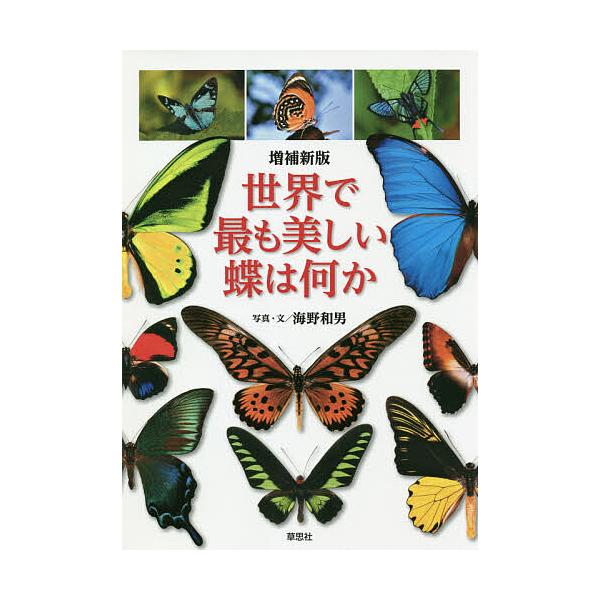 写真:海野和男出版社:草思社発売日:2020年12月キーワード:世界で最も美しい蝶は何か海野和男 せかいでもつともうつくしいちようわなにか セカイデモツトモウツクシイチヨウワナニカ うんの かずお ウンノ カズオ