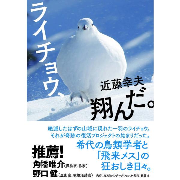 ※商品画像はイメージや仮デザインが含まれている場合があります。帯の有無など実際と異なる場合があります。著:近藤幸夫出版社:集英社インターナショナル発売日:2024年04月キーワード:ライチョウ、翔んだ。近藤幸夫 らいちようとんだ ライチヨウ...