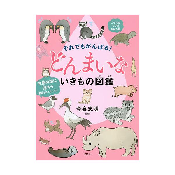 ※商品画像はイメージや仮デザインが含まれている場合があります。帯の有無など実際と異なる場合があります。監修:今泉忠明出版社:宝島社発売日:2018年07月キーワード:それでもがんばる！どんまいないきもの図鑑今泉忠明 それでもがんばるどんまい...