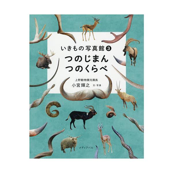 ※商品画像はイメージや仮デザインが含まれている場合があります。帯の有無など実際と異なる場合があります。文:小宮輝之出版社:メディアパル発売日:2021年03月シリーズ名等:いきもの写真館 ３キーワード:つのじまんつのくらべ小宮輝之 つのじま...