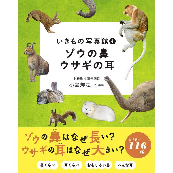 ※商品画像はイメージや仮デザインが含まれている場合があります。帯の有無など実際と異なる場合があります。文:小宮輝之出版社:メディアパル発売日:2021年09月シリーズ名等:いきもの写真館 ４キーワード:ゾウの鼻ウサギの耳小宮輝之 ぞうのはな...