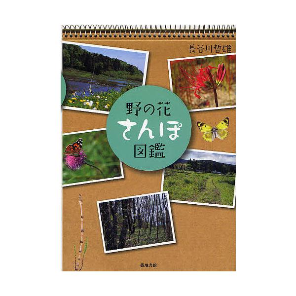 著:長谷川哲雄出版社:築地書館発売日:2009年05月キーワード:野の花さんぽ図鑑長谷川哲雄 の ノ はせがわ てつお ハセガワ テツオ