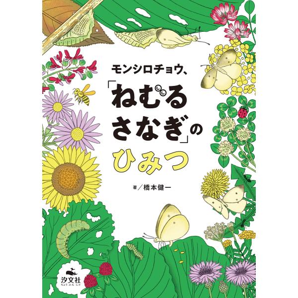 著:橋本健一出版社:汐文社発売日:2024年10月キーワード:モンシロチョウ、「ねむるさなぎ」のひみつ橋本健一 プレゼント ギフト 誕生日 子供 クリスマス 子ども こども もんしろちようねむるさなぎのひみつ モンシロチヨウネムルサナギノヒ...
