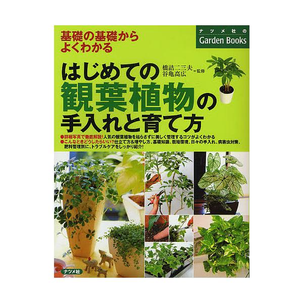 出版社:ナツメ社発売日:2008年03月シリーズ名等:ナツメ社のGarden Booksキーワード:はじめての観葉植物の手入れと育て方基礎の基礎からよくわかる はじめてのかんようしよくぶつのていれと ハジメテノカンヨウシヨクブツノテイレト ...