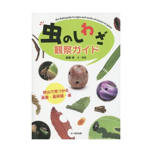 ※商品画像はイメージや仮デザインが含まれている場合があります。帯の有無など実際と異なる場合があります。文:新開孝出版社:文一総合出版発売日:2016年02月キーワード:虫のしわざ観察ガイド野山で見つかる食痕・産卵痕・巣新開孝 むしのしわざか...