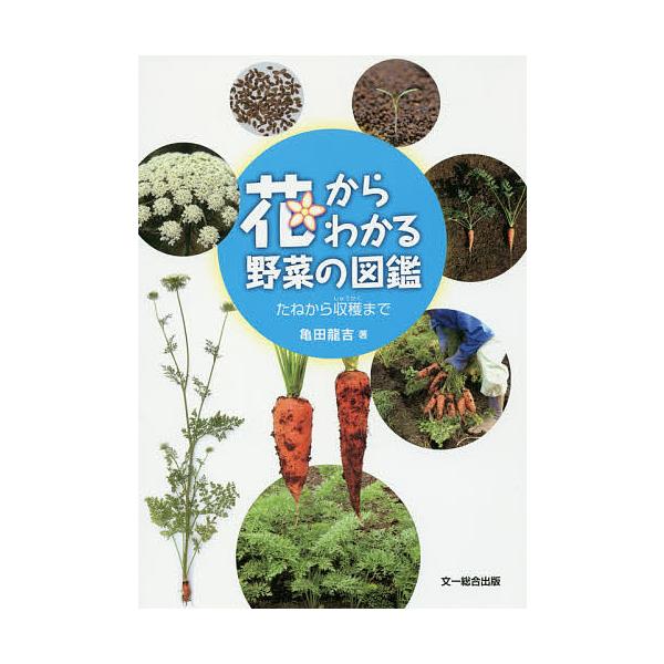 ※商品画像はイメージや仮デザインが含まれている場合があります。帯の有無など実際と異なる場合があります。著:亀田龍吉出版社:文一総合出版発売日:2016年06月キーワード:花からわかる野菜の図鑑たねから収穫まで亀田龍吉 はなからわかるやさいの...