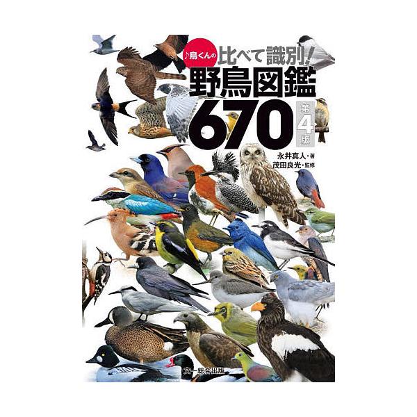 ※商品画像はイメージや仮デザインが含まれている場合があります。帯の有無など実際と異なる場合があります。著:永井真人　監修:茂田良光出版社:文一総合出版発売日:2023年02月キーワード:♪鳥くんの比べて識別！野鳥図鑑６７０永井真人茂田良光 ...