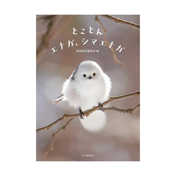 ※商品画像はイメージや仮デザインが含まれている場合があります。帯の有無など実際と異なる場合があります。編:BIRDER編集部出版社:文一総合出版発売日:2022年12月キーワード:とことんエナガ、シマエナガBIRDER編集部 とことんえなが...