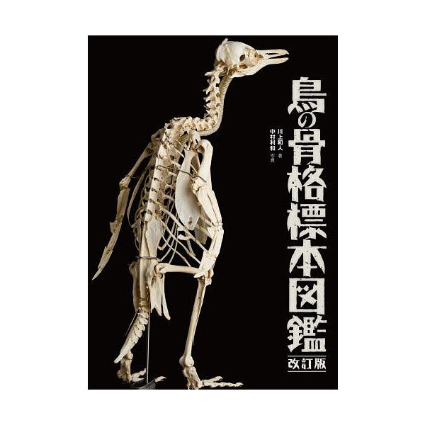 ※商品画像はイメージや仮デザインが含まれている場合があります。帯の有無など実際と異なる場合があります。著:川上和人　写真:中村利和出版社:文一総合出版発売日:2026年01月シリーズ名等:BIRDER SPECIALキーワード:鳥の骨格標本...